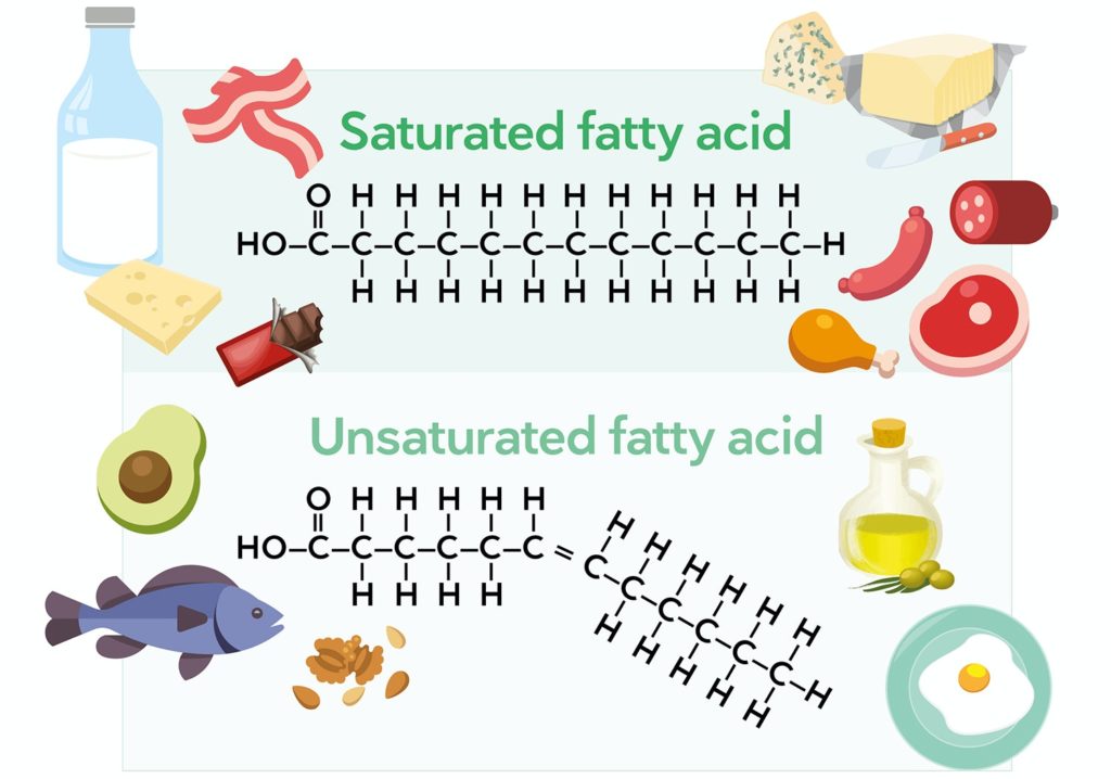 What Is Saturated Fat? | Share recipe,wellness, craft , life hack tips ...
